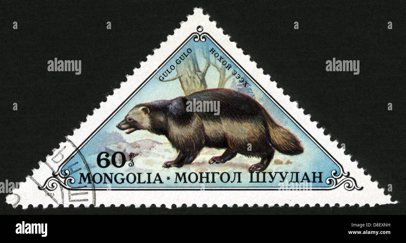 wolverine,Mongolia,post mark,stamp,animals,animals illustrations,fauna ...