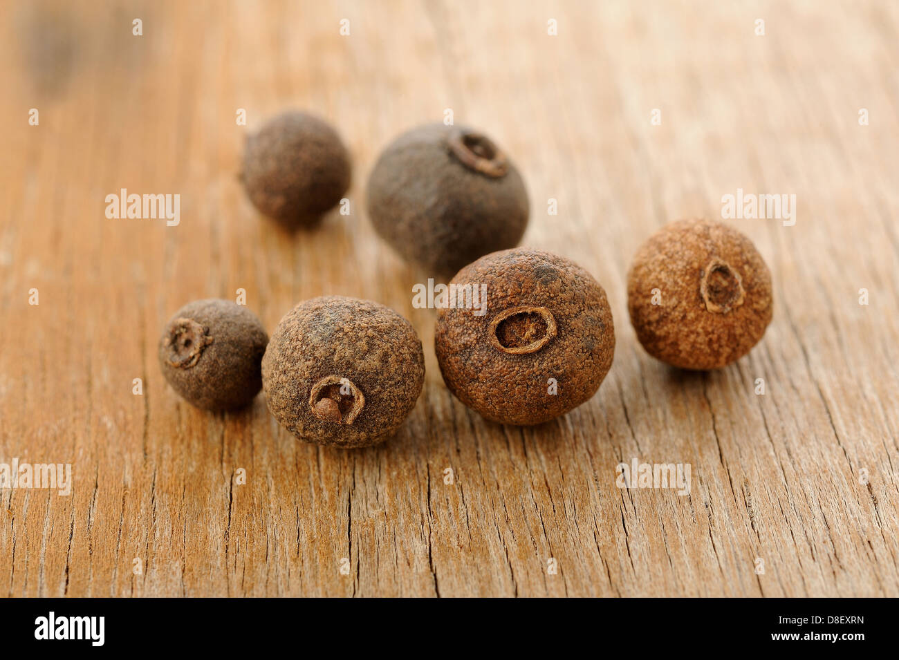 Allspice pepper (Jamaica pepper Stock Photo - Alamy