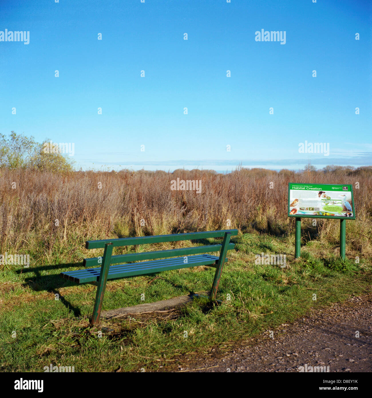 A green bench in a nature reserve next to an information board Stock ...