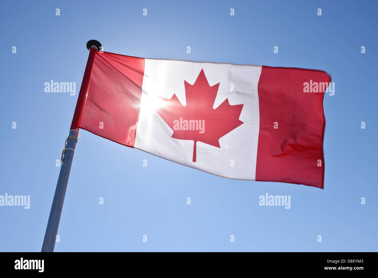Flag of Canada Stock Photo - Alamy