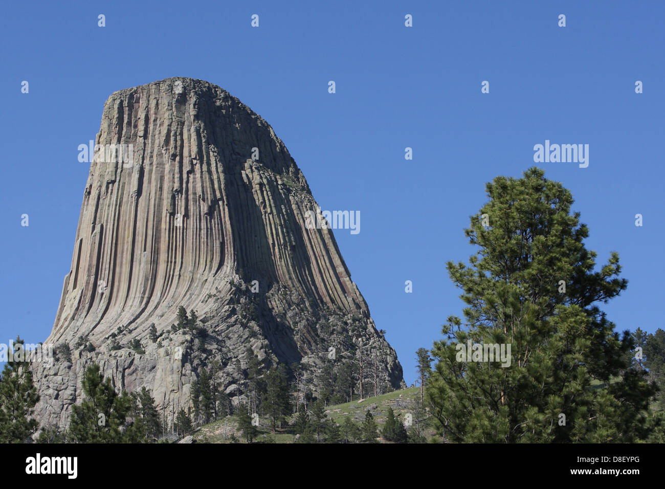 Devils tower igneous rocks hi-res stock photography and images - Alamy