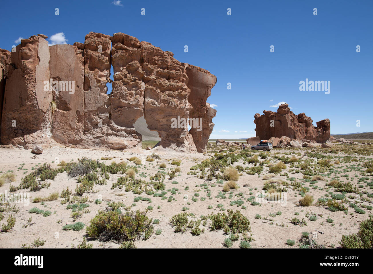 The dry arid landscape of the Bolivian Altiplano where it slopes down ...