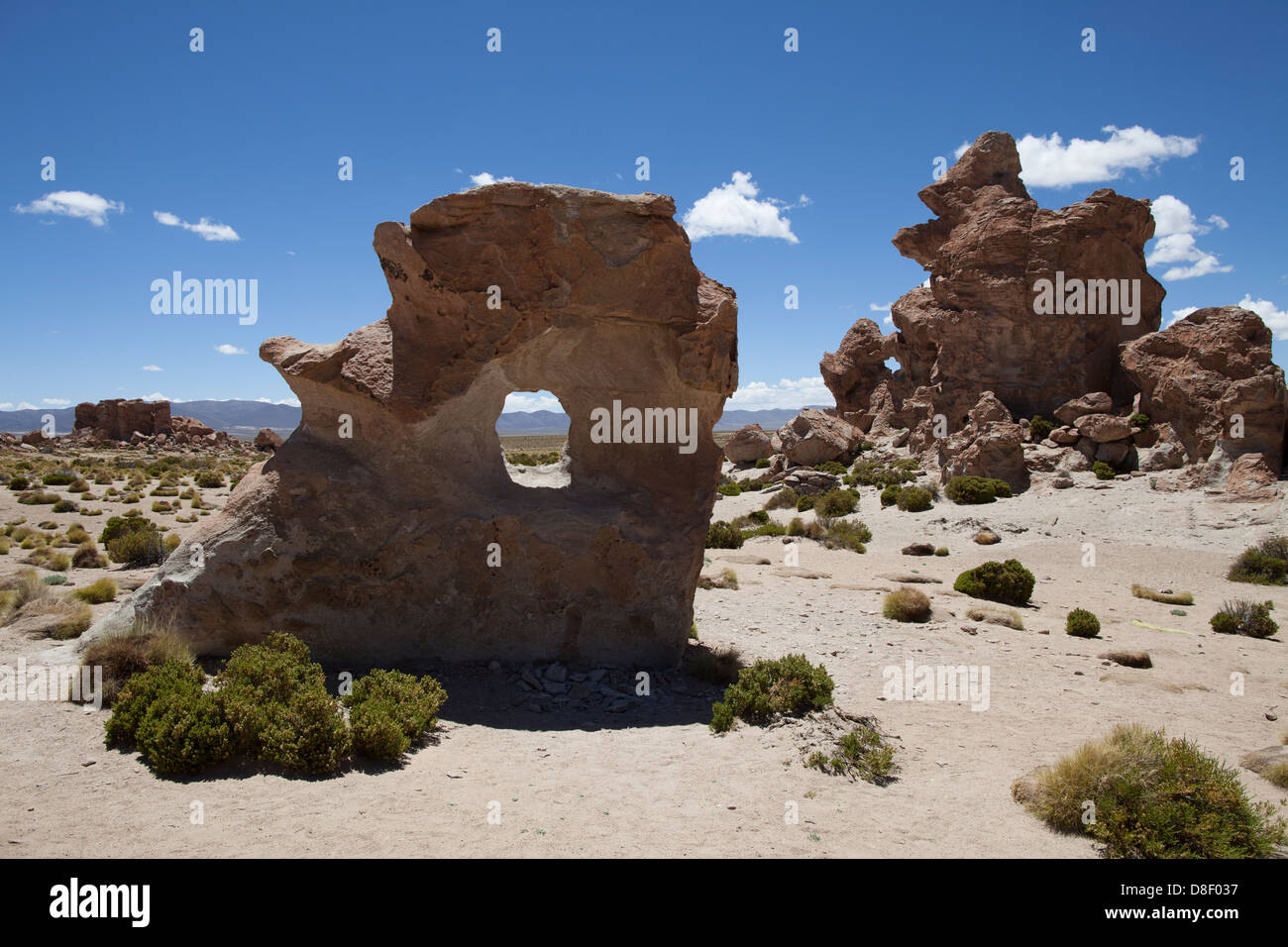 The dry arid landscape of the Bolivian Altiplano where it slopes down ...
