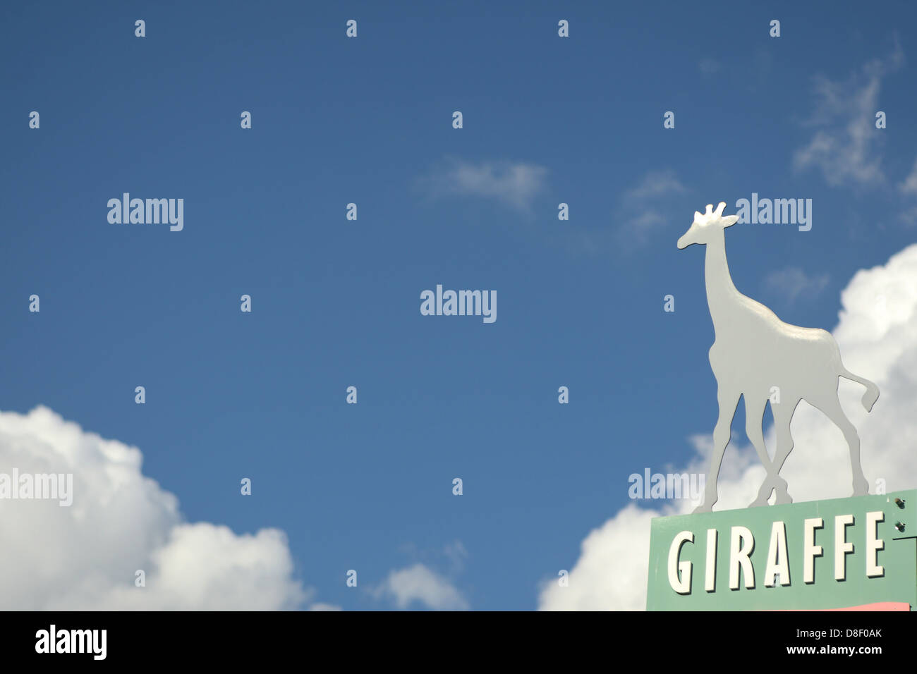 Safari giraffe sign hi-res stock photography and images - Alamy