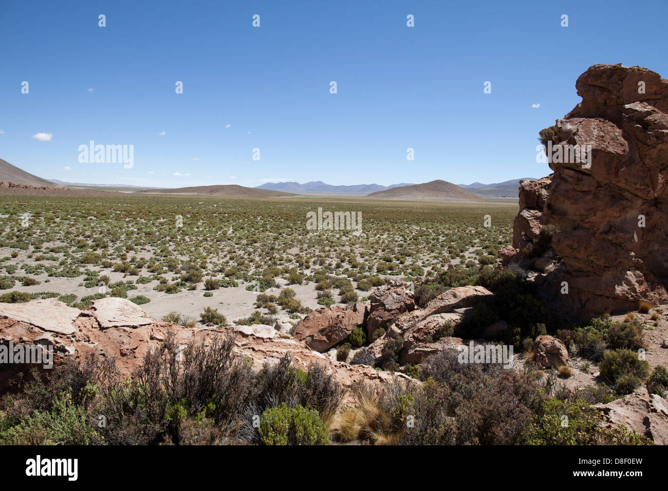 The dry arid landscape of the Bolivian Altiplano where it slopes down ...