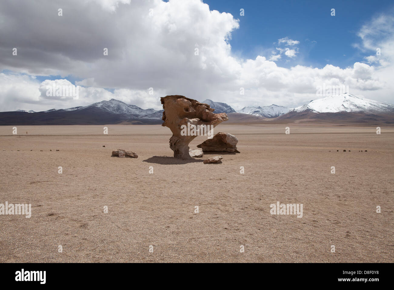 The dry arid landscape of the Bolivian Altiplano where it slopes down ...