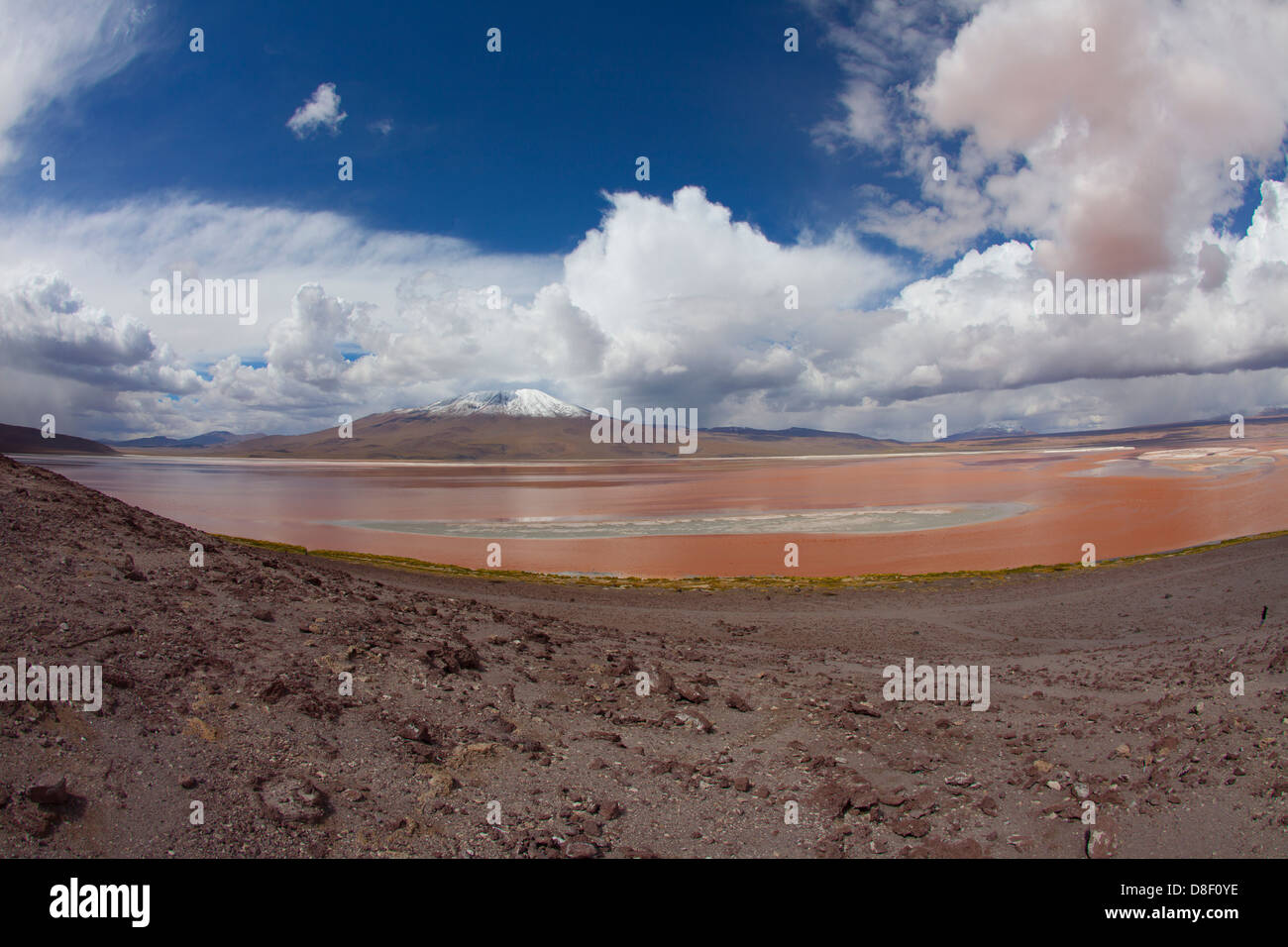 The landscape around the Laguna Colorada in the remote Wilderness of ...