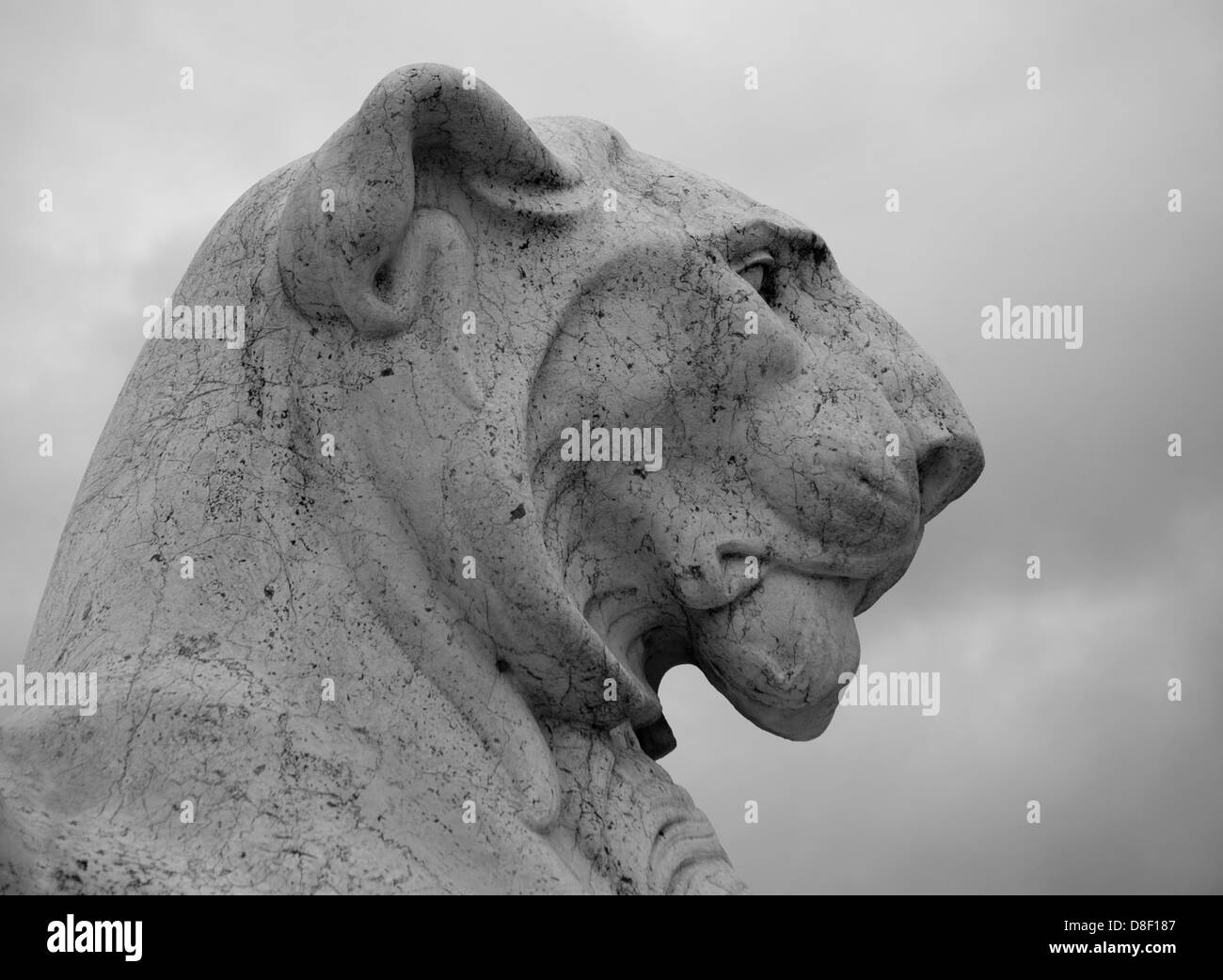 Lion head in profile sculpture fragment Stock Photo - Alamy