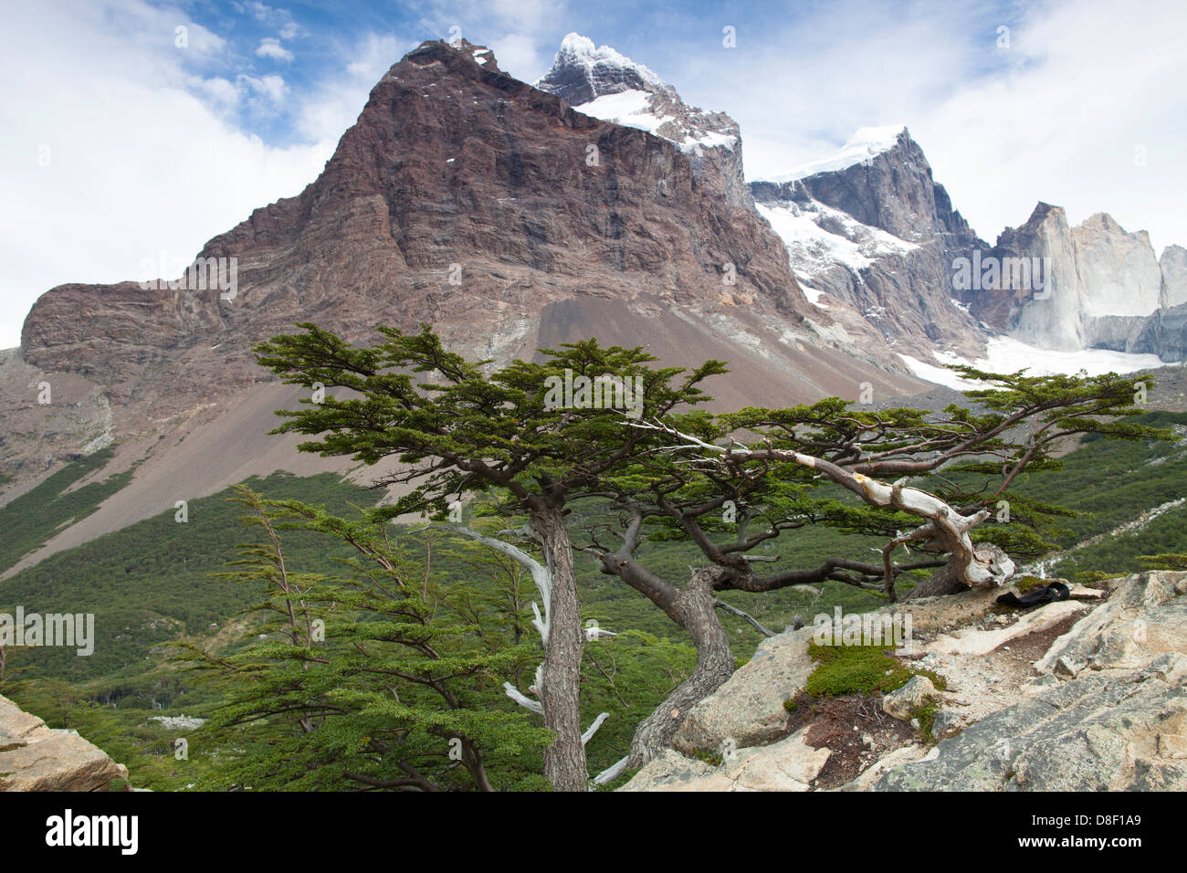 Torres del Paine Landscape with Mountains and trees Stock Photo - Alamy