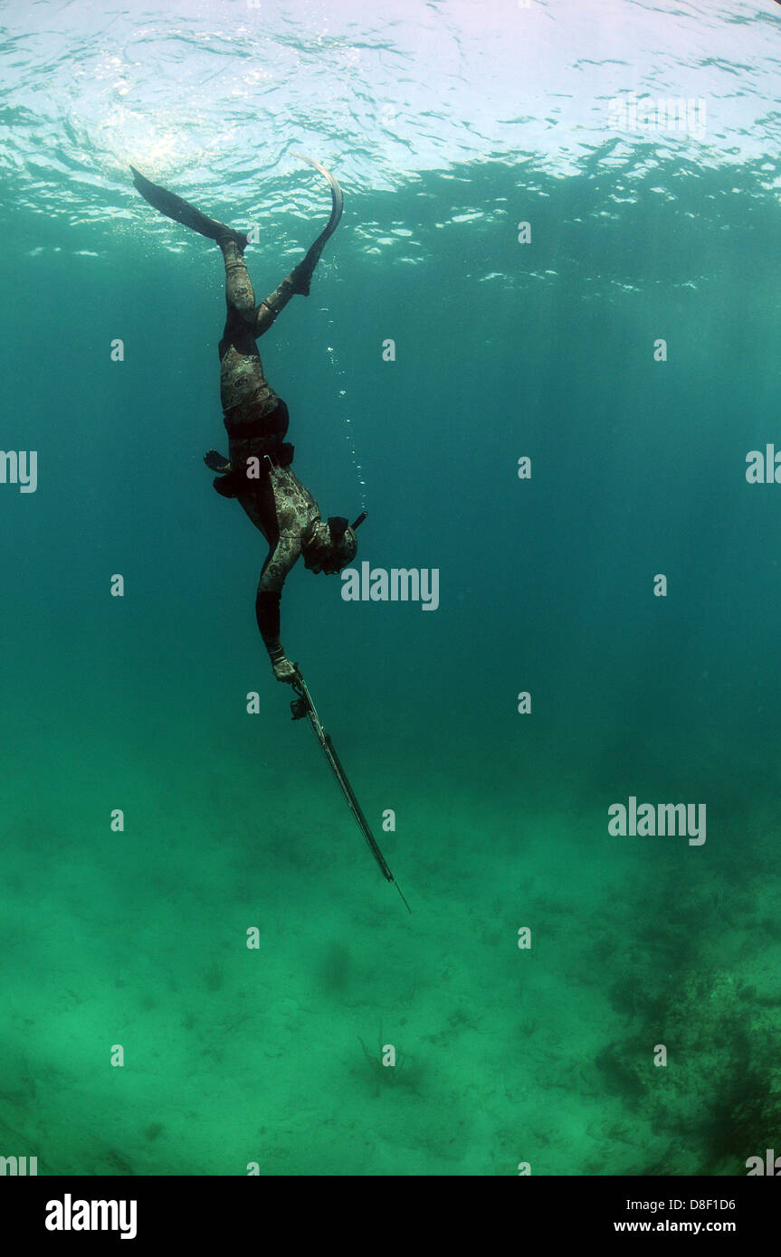 Man underwater spearfishing and free diving in camouflage wetsuit in ...