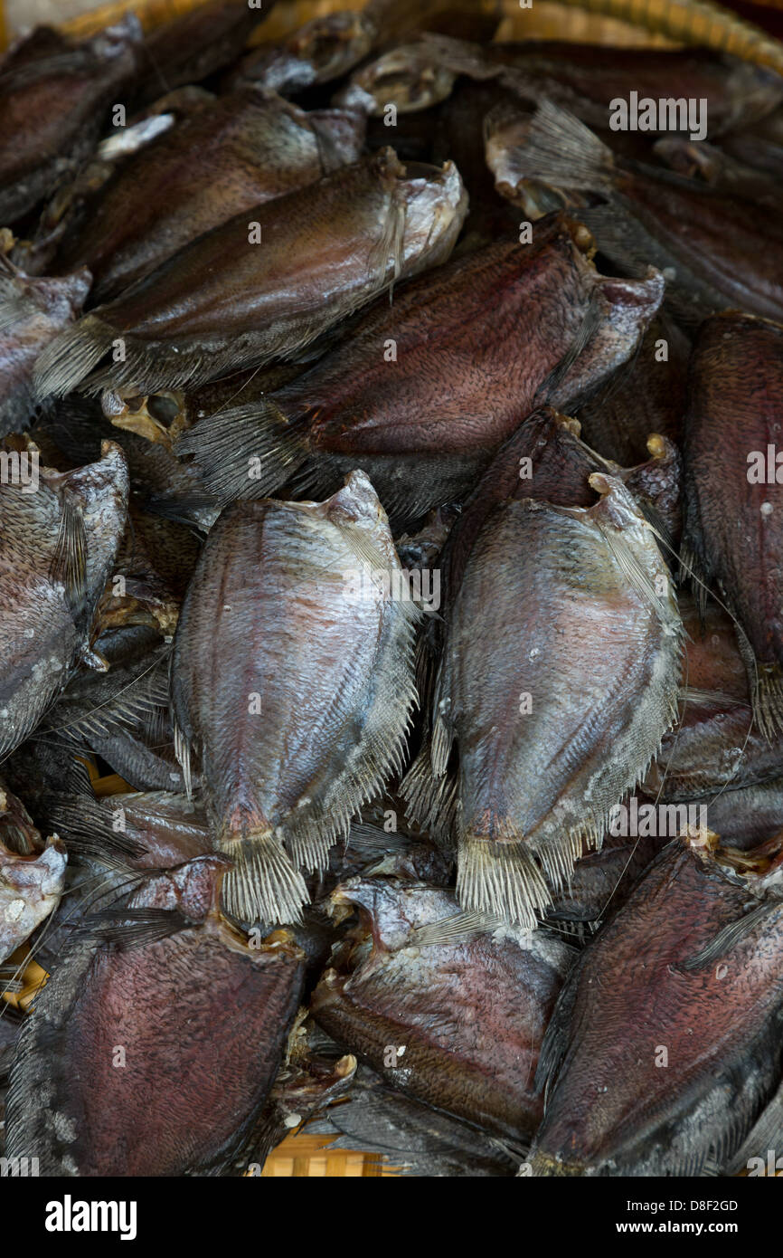 Dried Fish on a Market in Phnom Penh, Cambodia Stock Photo - Alamy