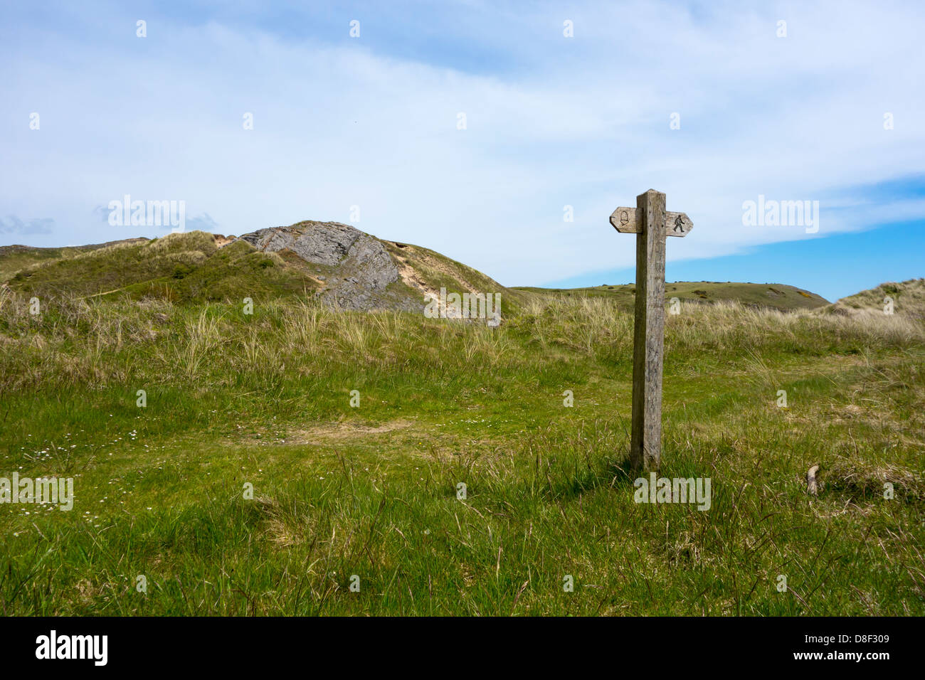 Sign post surrounded by sand dunes on the Coastal Path at Bosherston ...