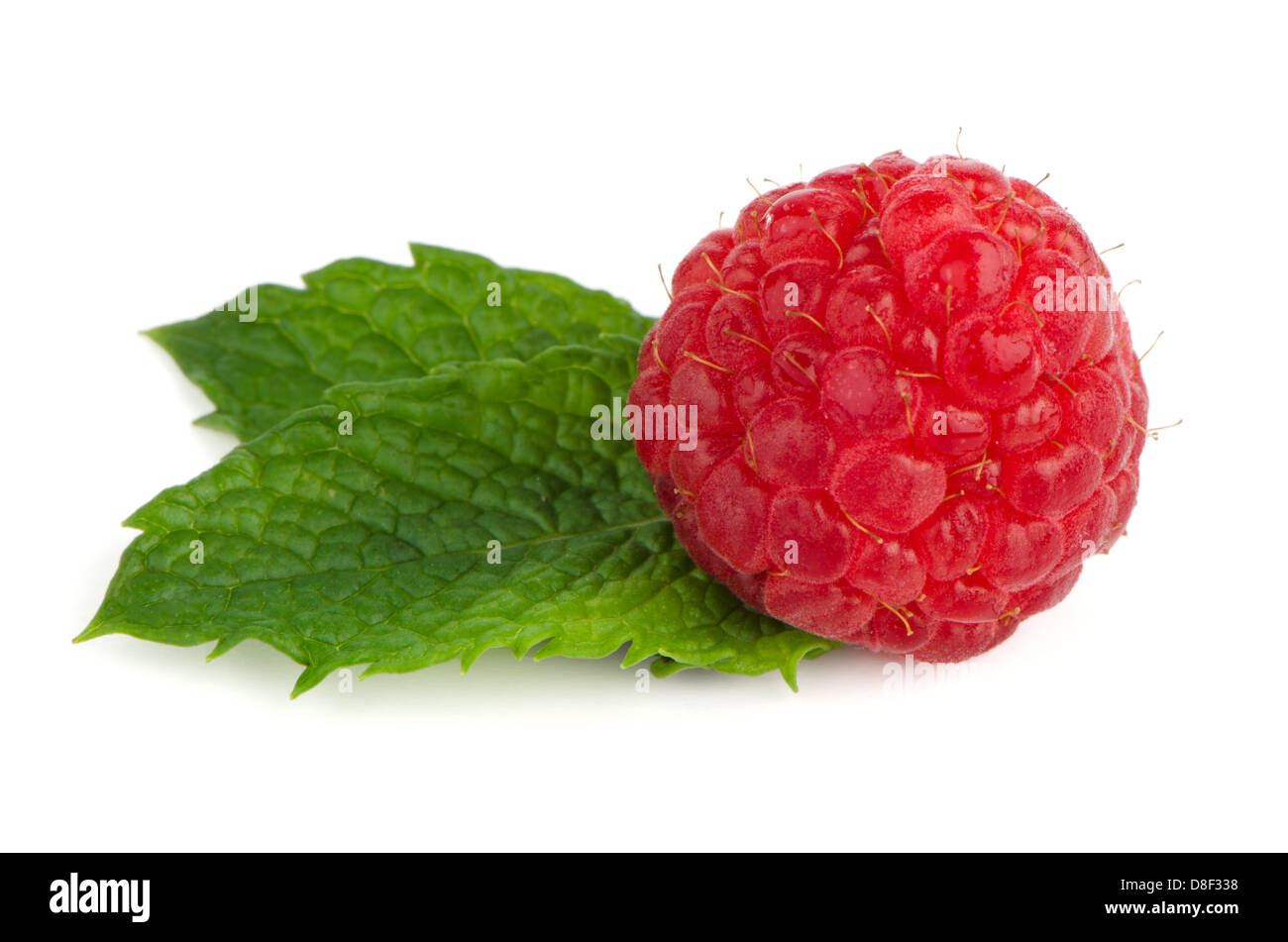Ripe red raspberry on white background Stock Photo - Alamy