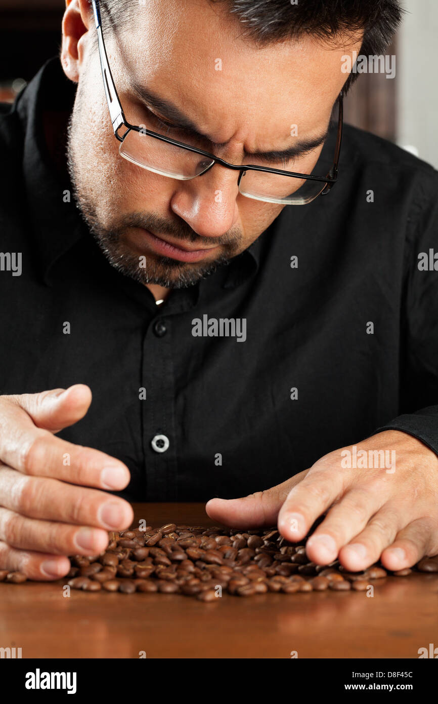 Coffee Sommelier Examining Roasted Bean Stock Photo - Alamy