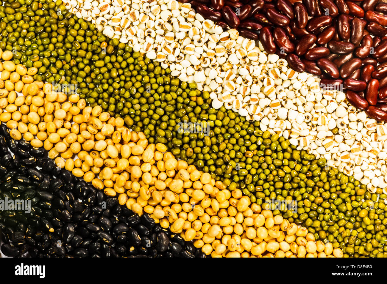 Various kinds of different beans Stock Photo - Alamy