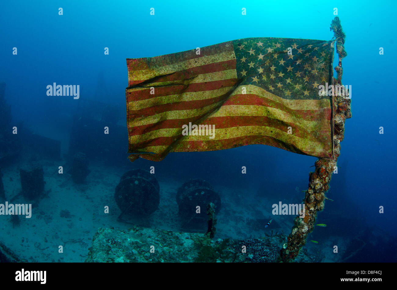 The flag of the United States of America on the wreck of the Spiegel ...