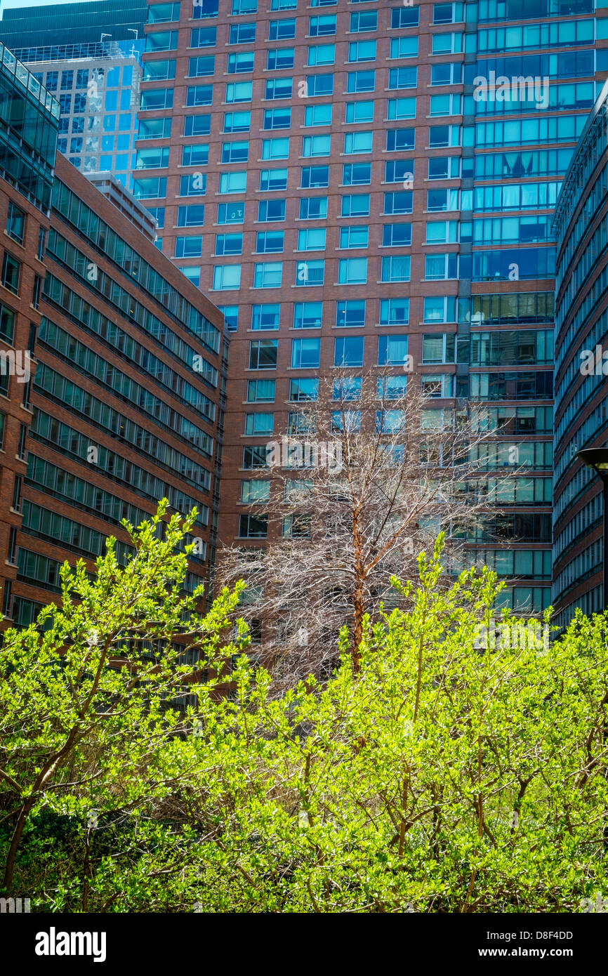 Modern apartments with natural landscaping of trees Stock Photo - Alamy