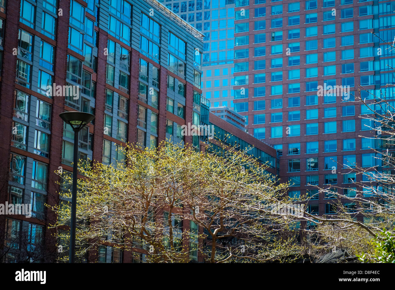 Modern apartments with natural landscaping of trees Stock Photo - Alamy
