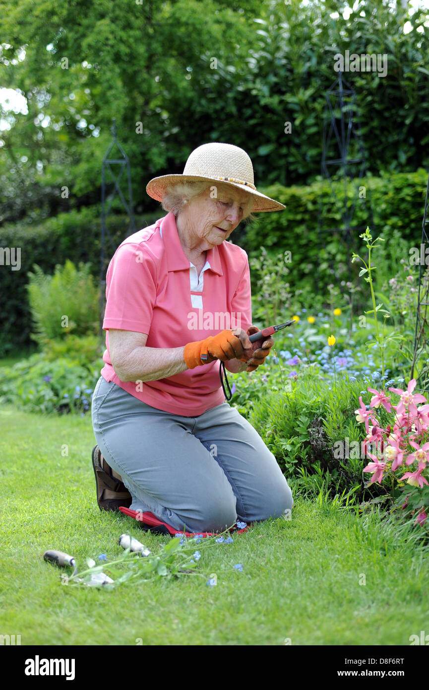 Elderly lady gardening in her family garden at home in North Yorkshire ...