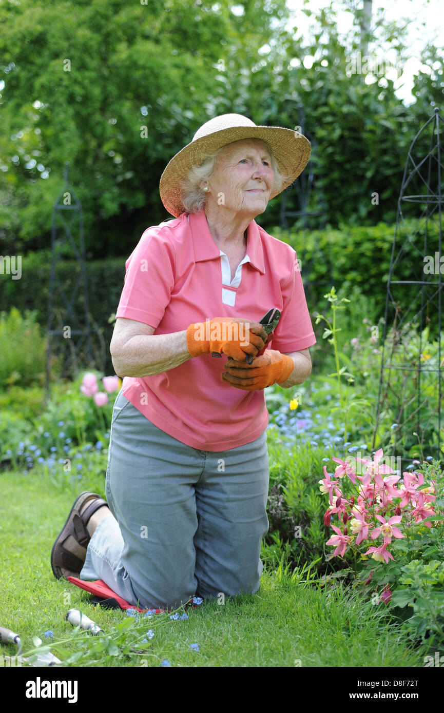 Elderly lady gardening in her family garden at home in North Yorkshire ...