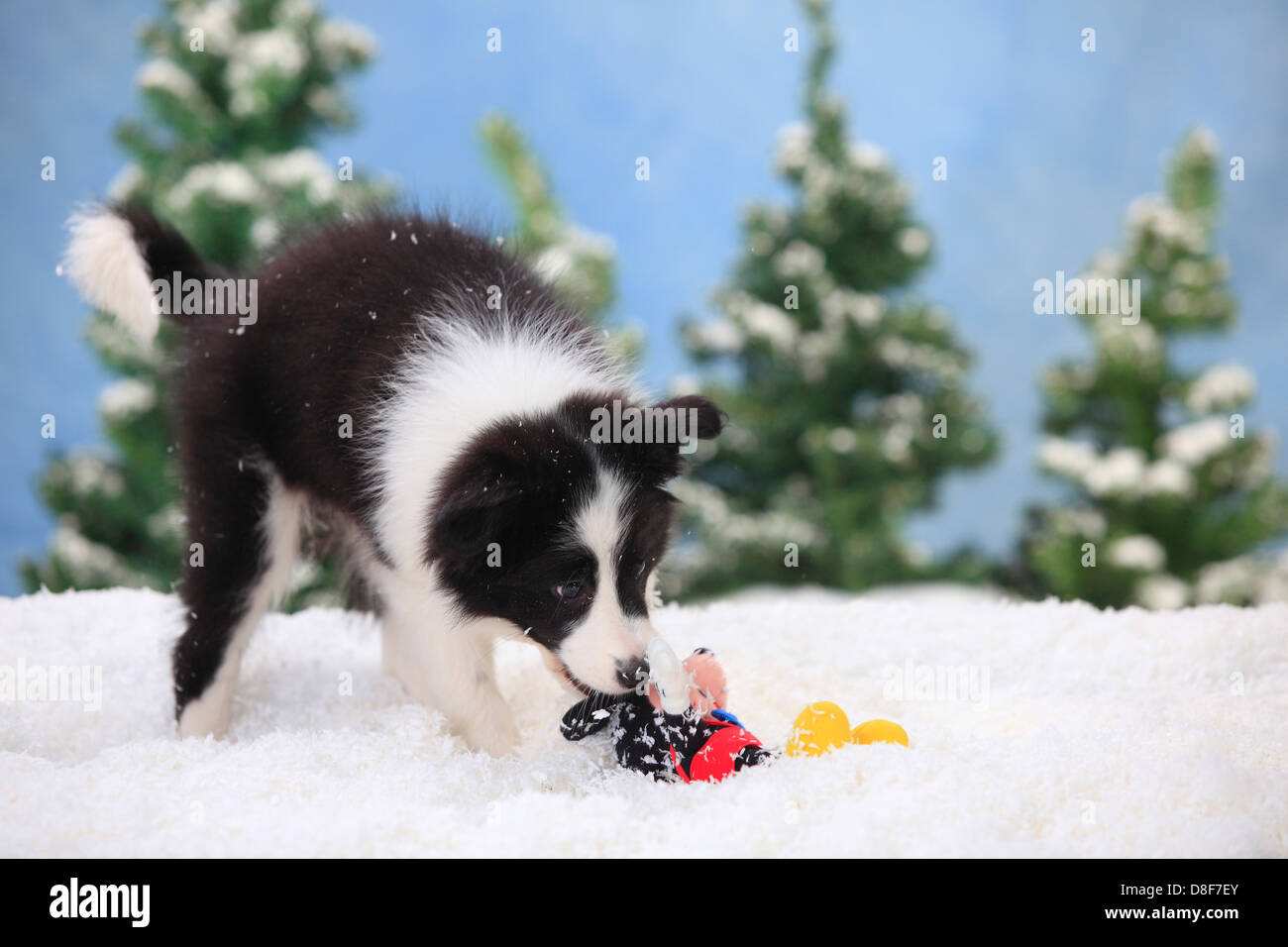 Toy border hi-res stock photography and images - Alamy