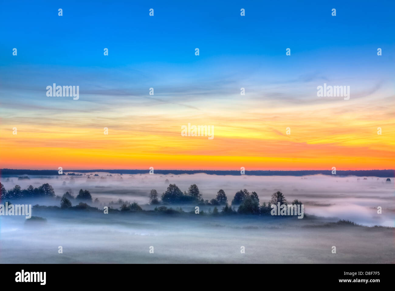 Great Morning. Beautiful Lake On Sunrise Stock Photo - Alamy