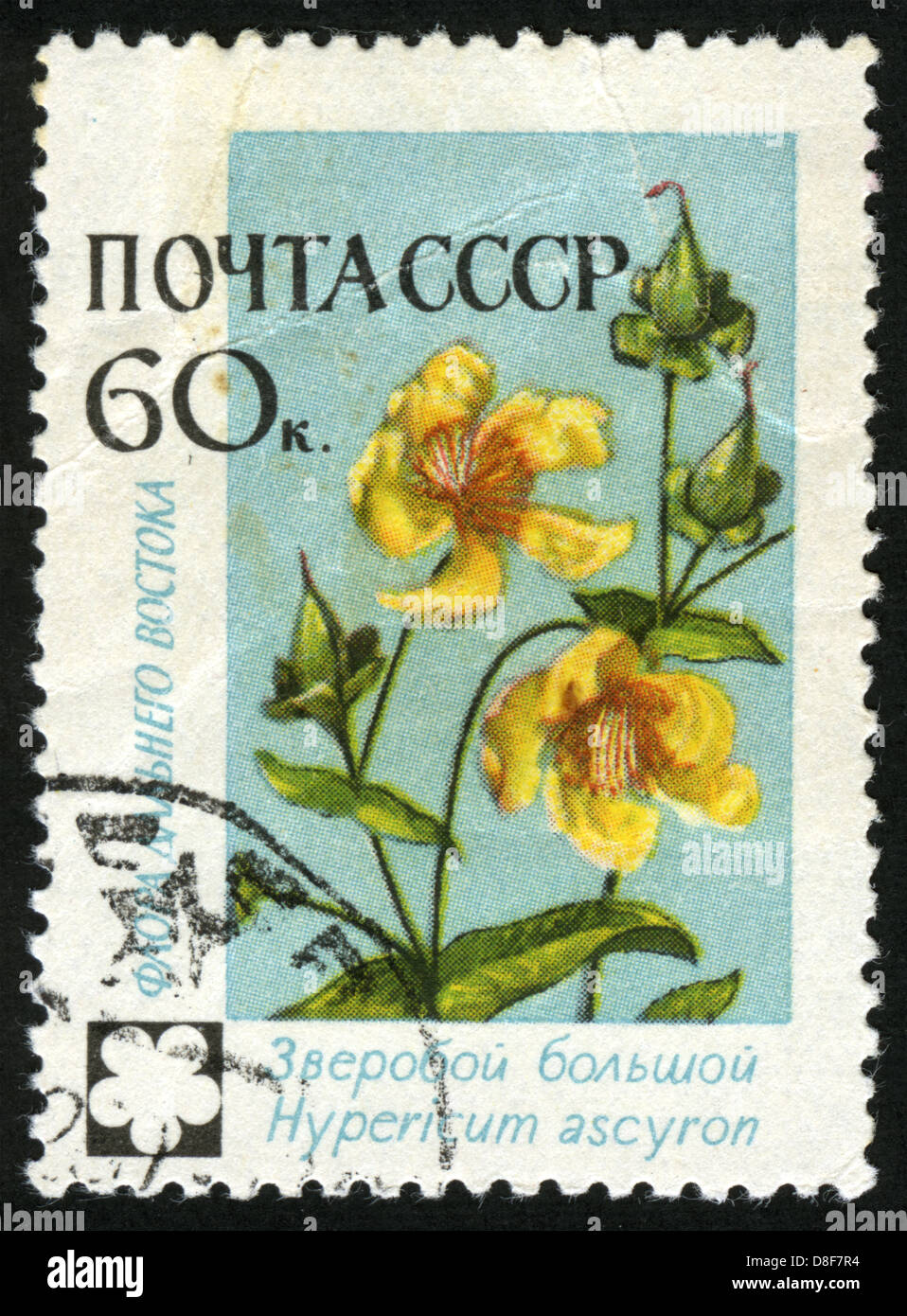post mark,stamp,flowers, plants, flora,flower,USSR, flower ...