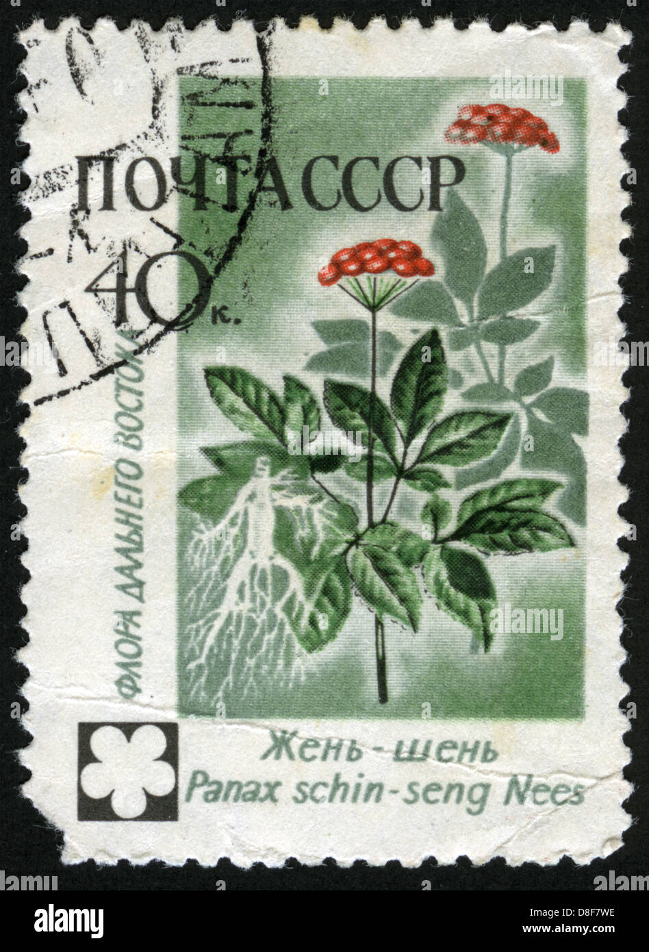 Vintage flora illustrations hi-res stock photography and images - Alamy