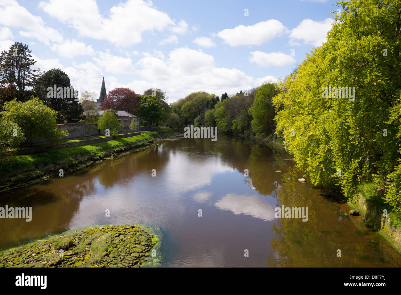River Coquet, Warworth, Northumberland,England Stock Photo - Alamy
