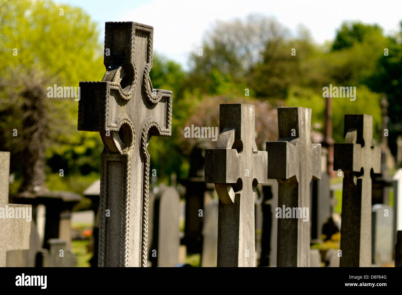 A line of burial crosses Stock Photo - Alamy