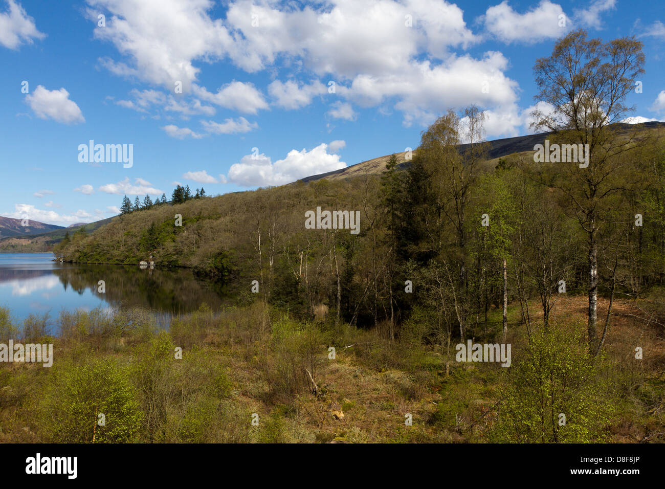 Loch Ard with Ben Lomond in the background, Loch Lomond & The Trossachs ...
