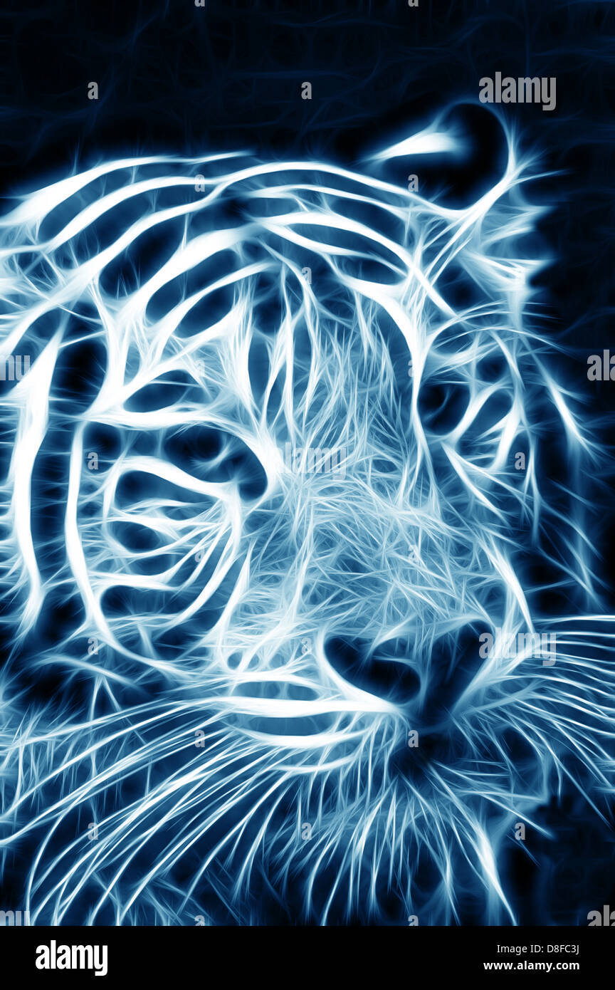 Tiger Latin: Panthera tigris - kind of predatory mammals felines, one ...