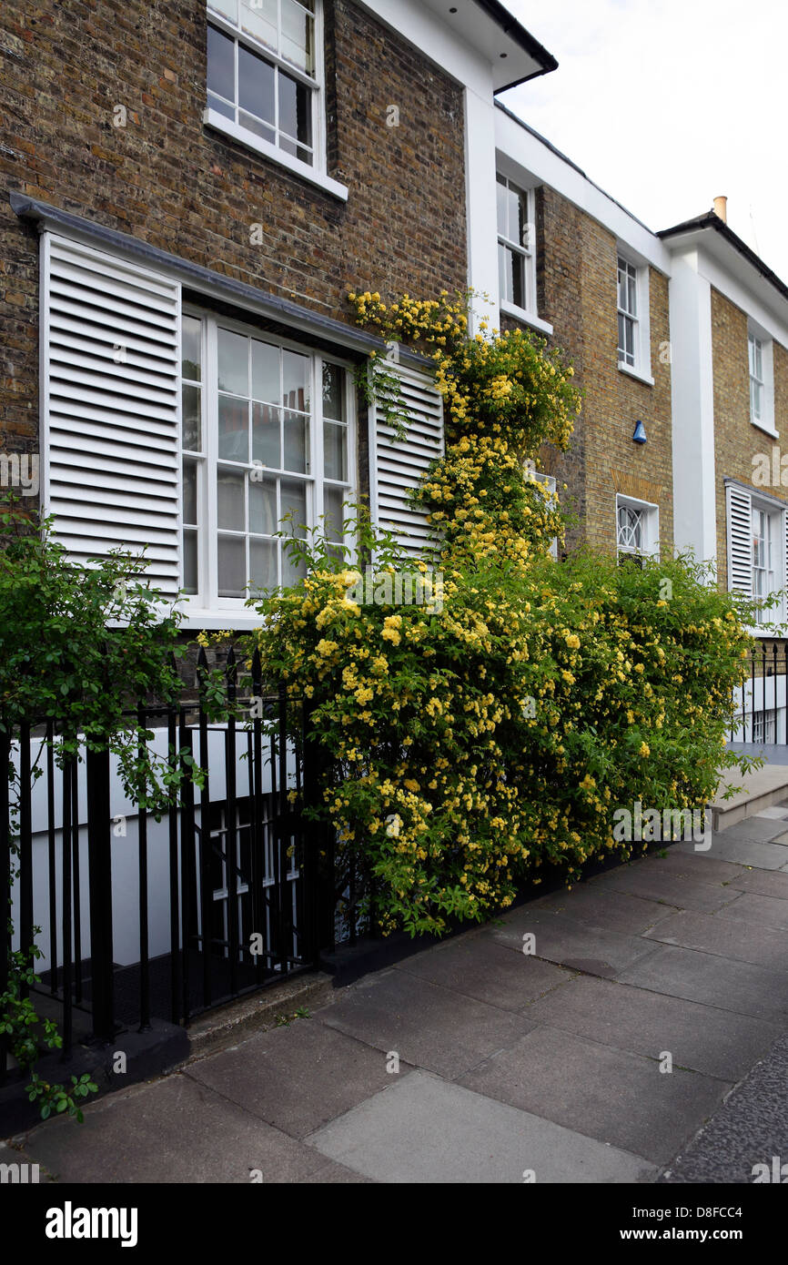 Property in Bloomfield Terrace off of Pimlico Road, a quiet and ...