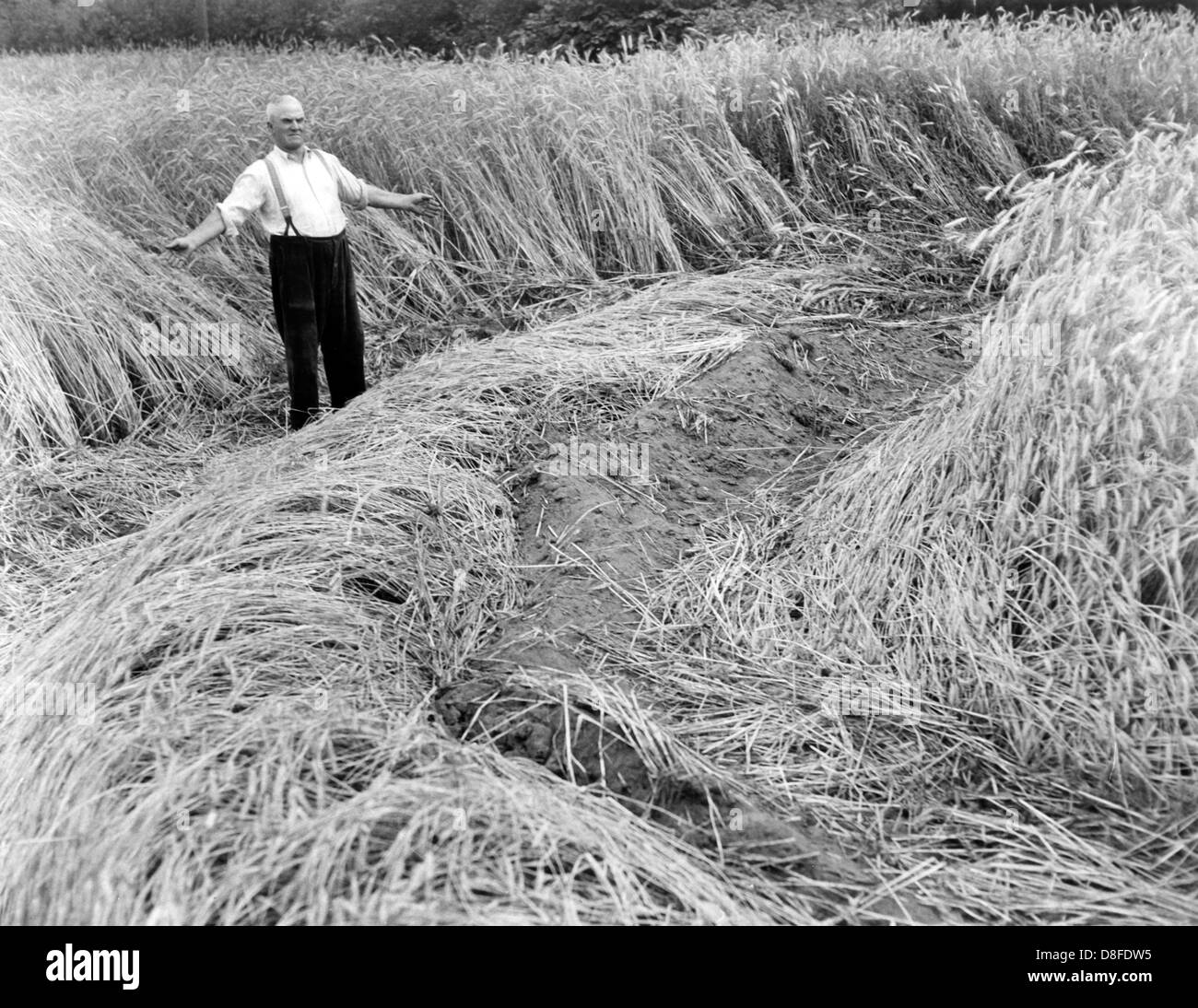 Farmer Georg Wonsdorf from Steinbeck in the Lower Saxony standing ...