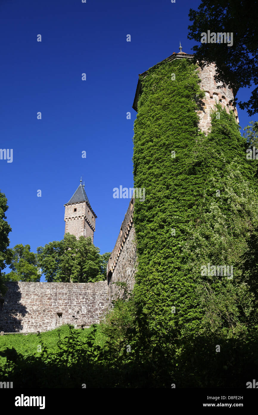 Hirschhorn hessen hi-res stock photography and images - Alamy