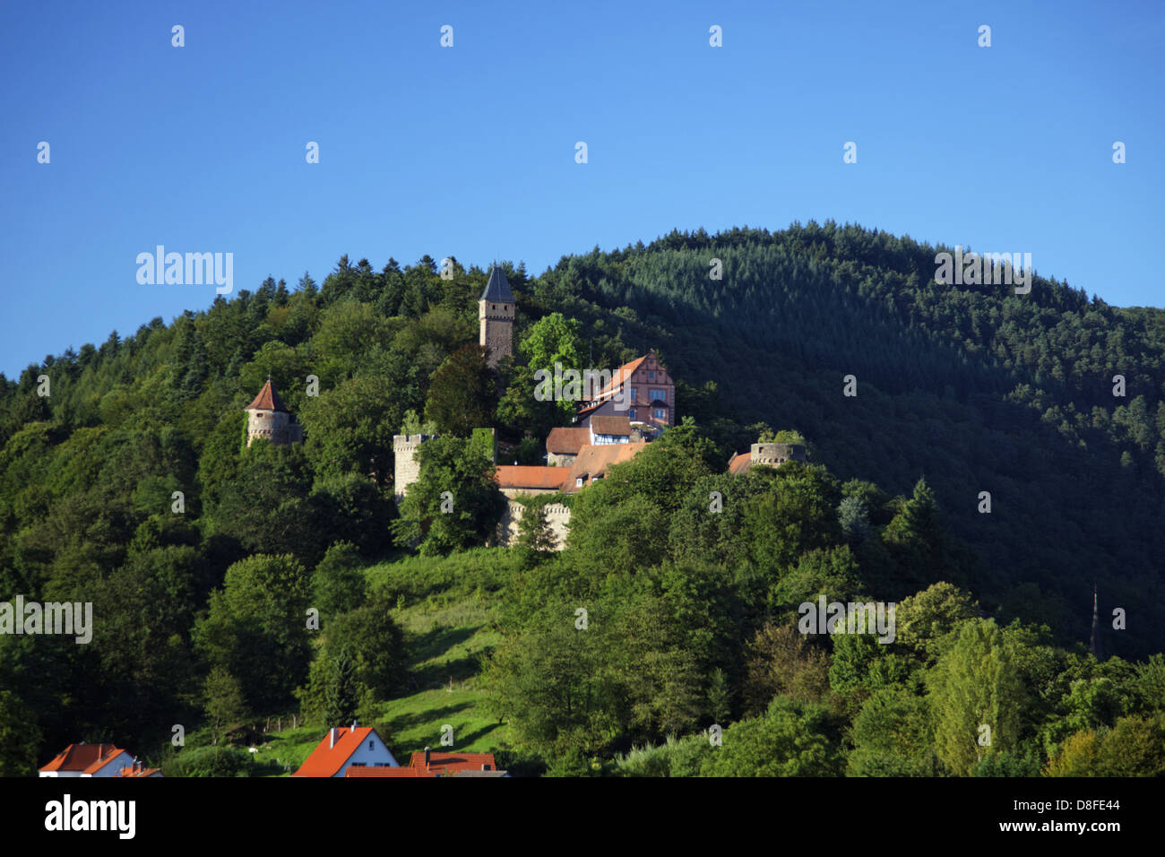 Germany, Hesse, Hirschhorn (Neckar), Castle peaceful, harmonious ...