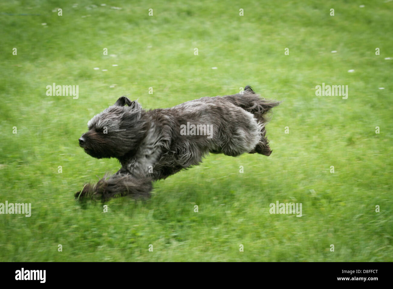 Run running blur motion hi-res stock photography and images - Alamy