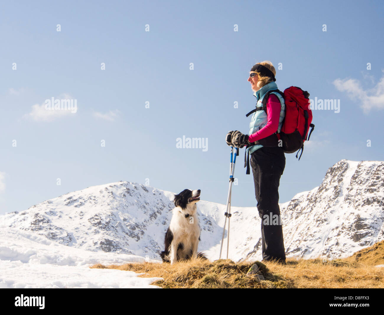 A woman fell walker on Wet Side Edge looking towards Great Carrs in the ...