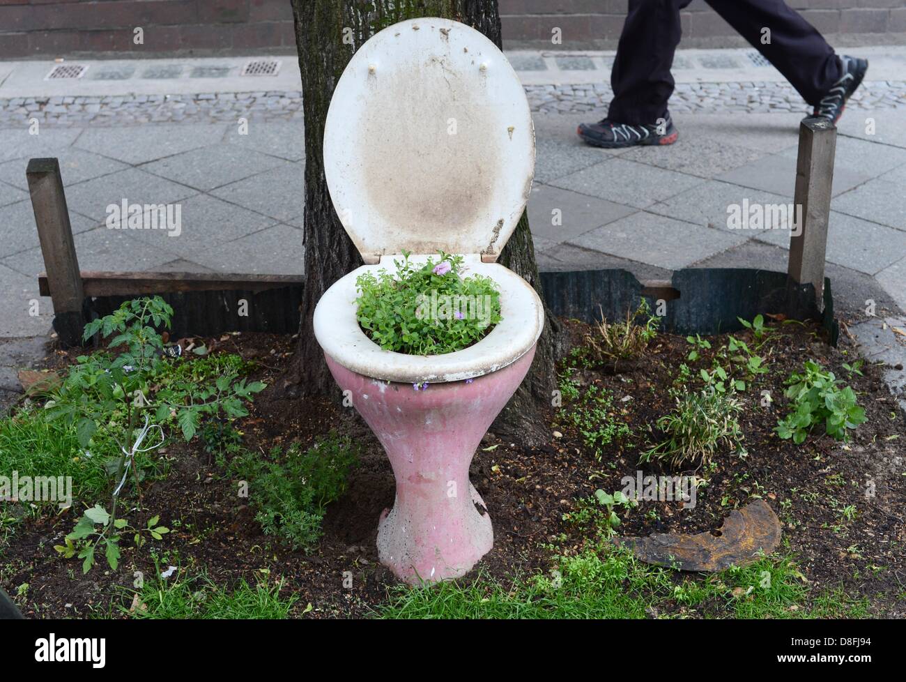 A toilet bowl with plants growing in it sits on the sidewalk on ...