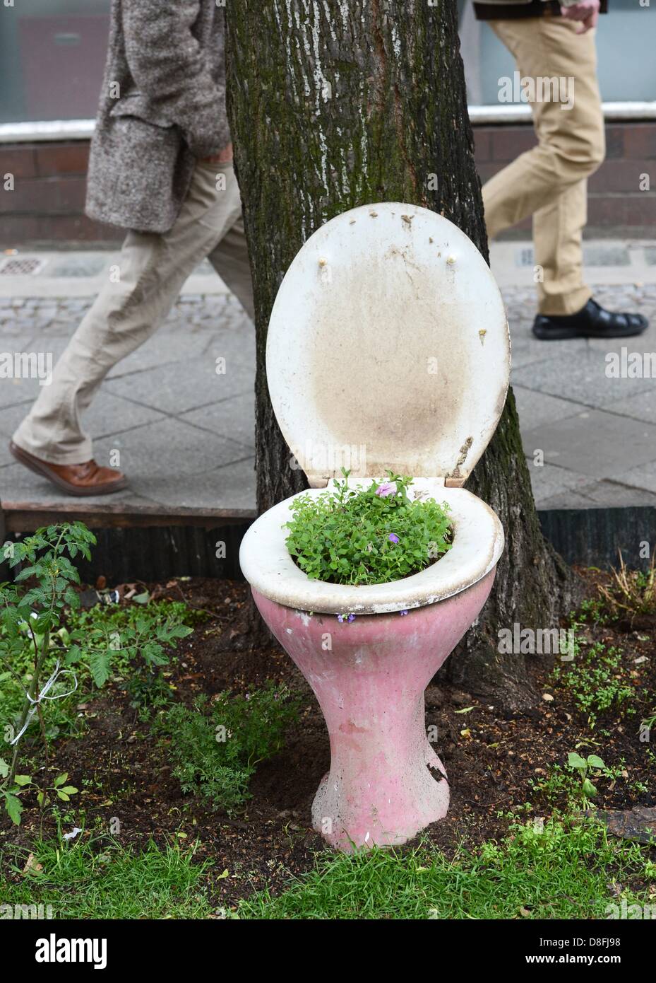 A toilet bowl with plants growing in it sits on the sidewalk on ...