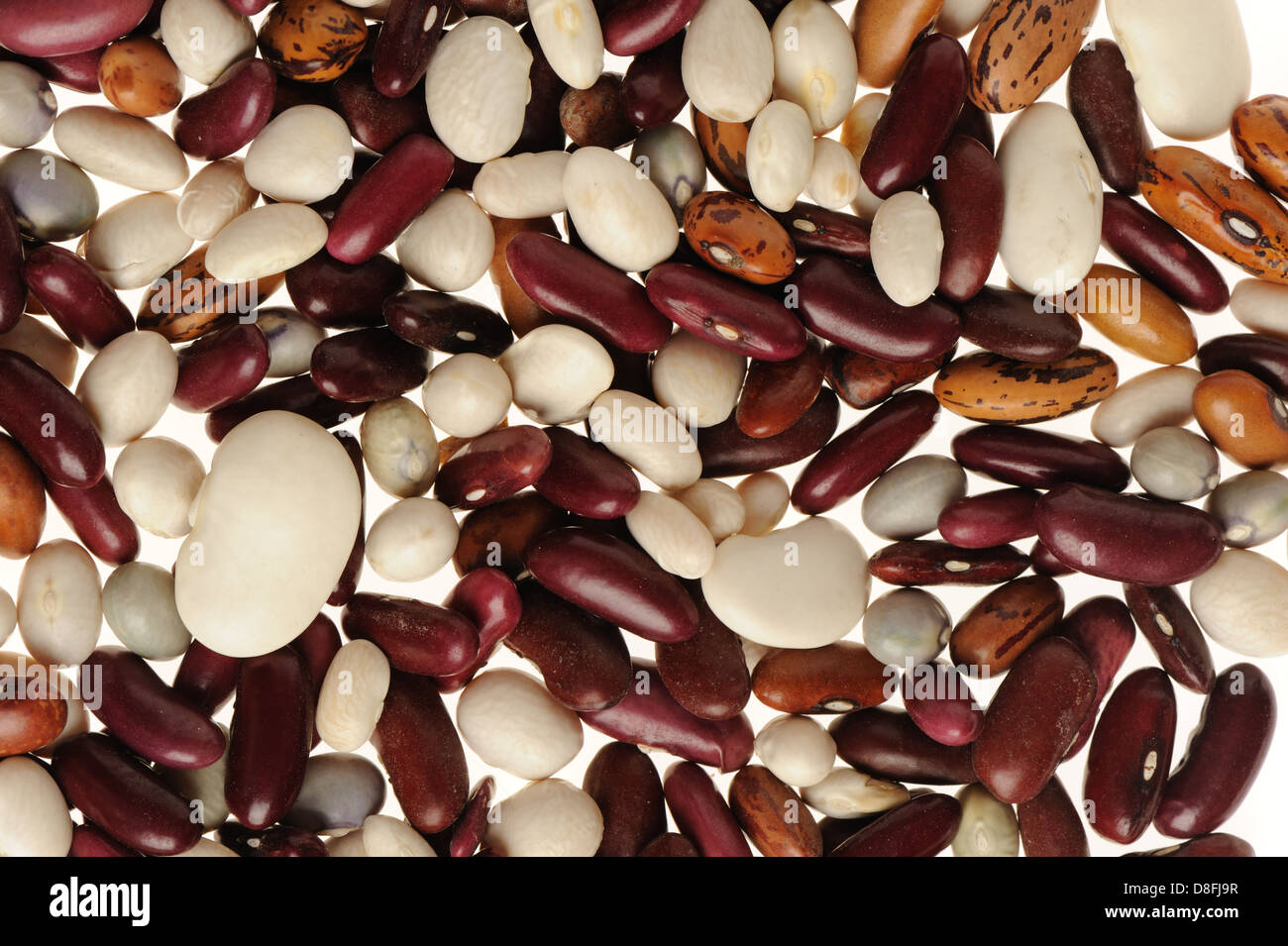 String bean seed hi-res stock photography and images - Alamy