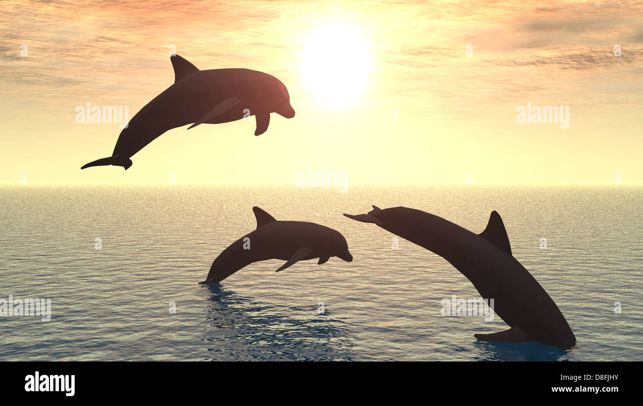 Dolphin splash underwater hi-res stock photography and images - Alamy