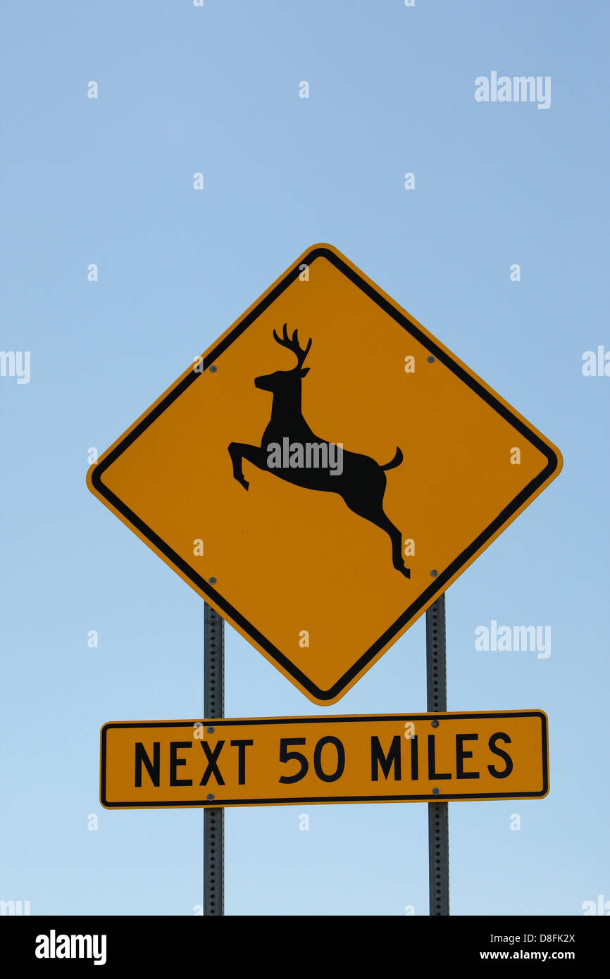 Deer graphics hi-res stock photography and images - Alamy