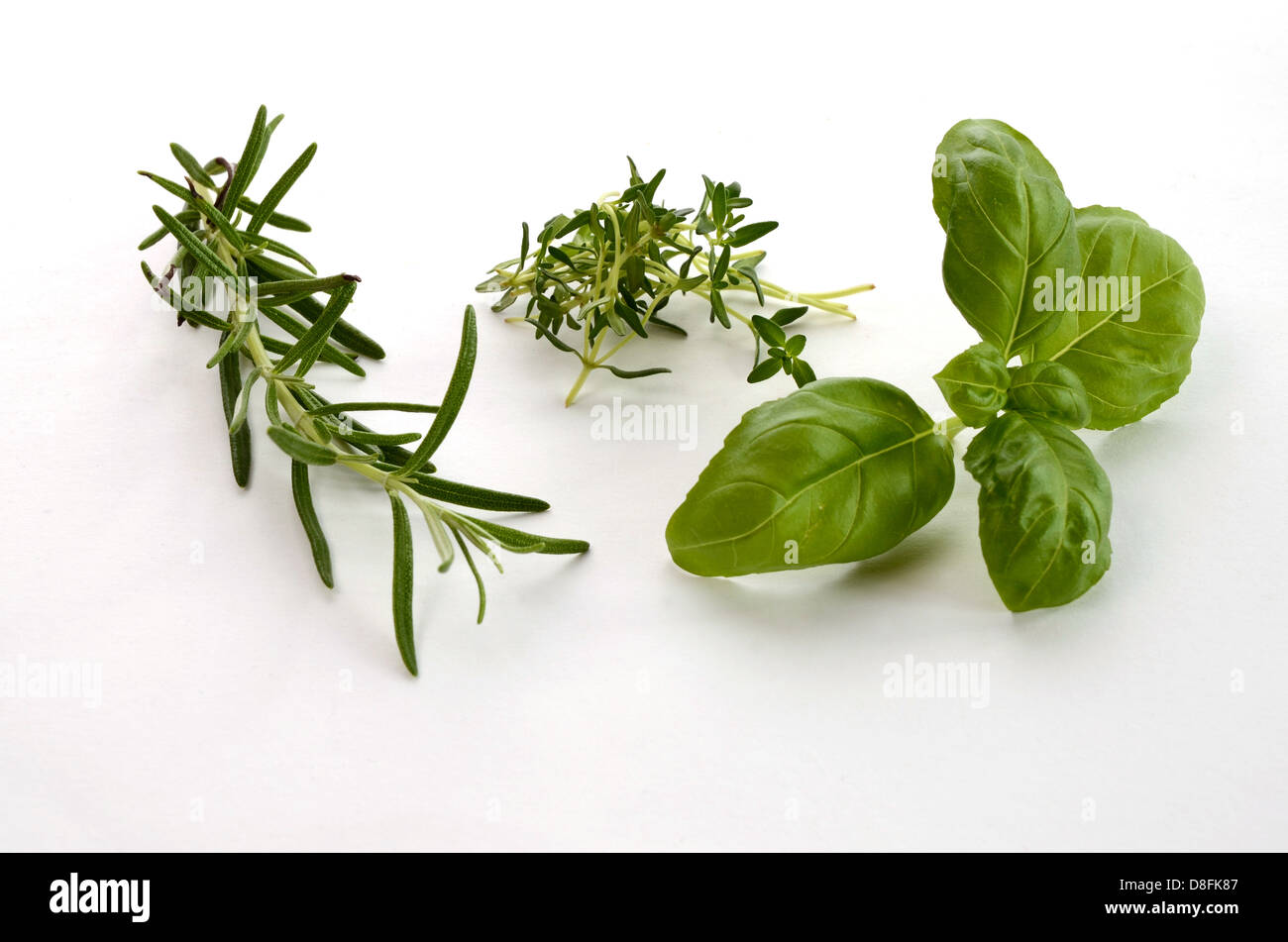 Rosemary, basil and thyme on a white background Stock Photo - Alamy