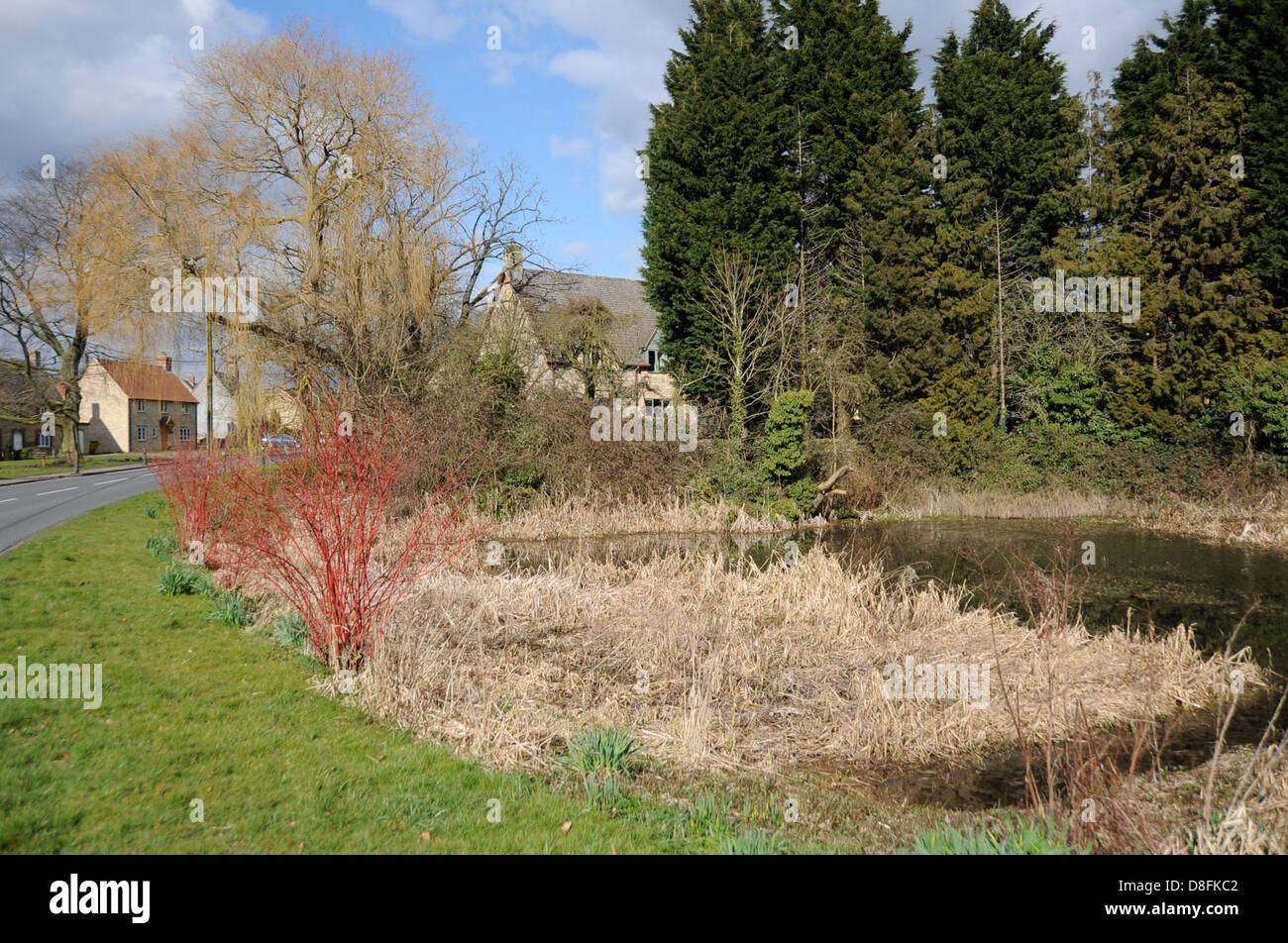 Kirtlington village pond, Oxfordshire, England, UK Stock Photo - Alamy