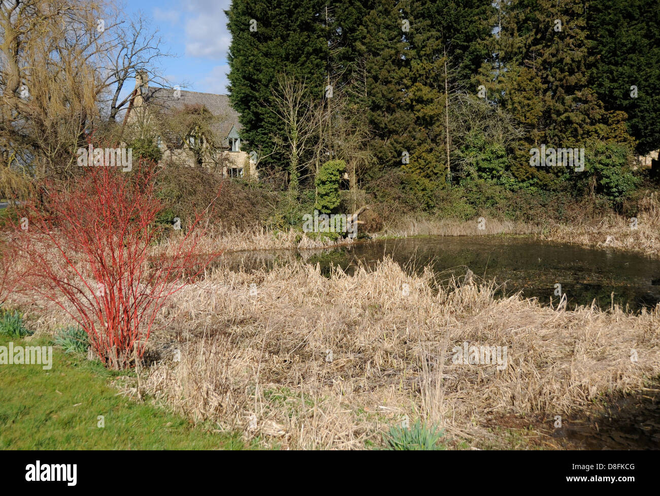 Kirtlington village pond, Oxfordshire, England, UK Stock Photo - Alamy