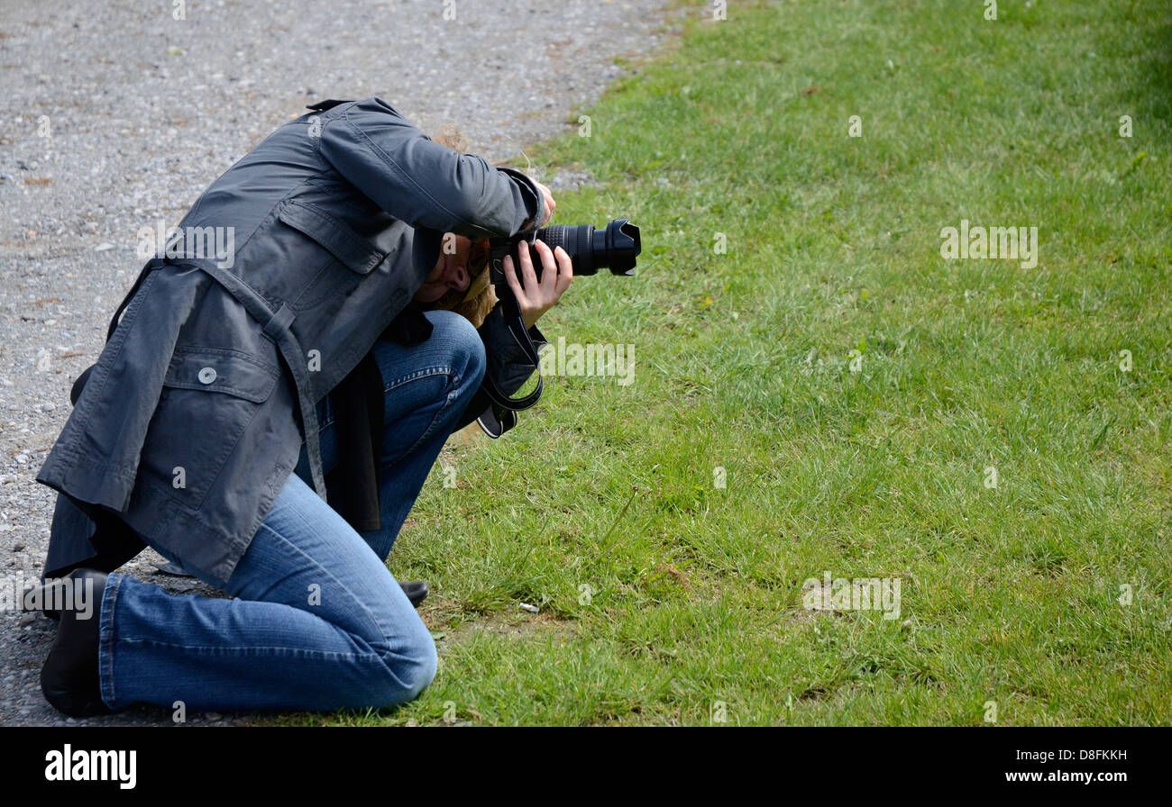 Photographer at work Stock Photo - Alamy