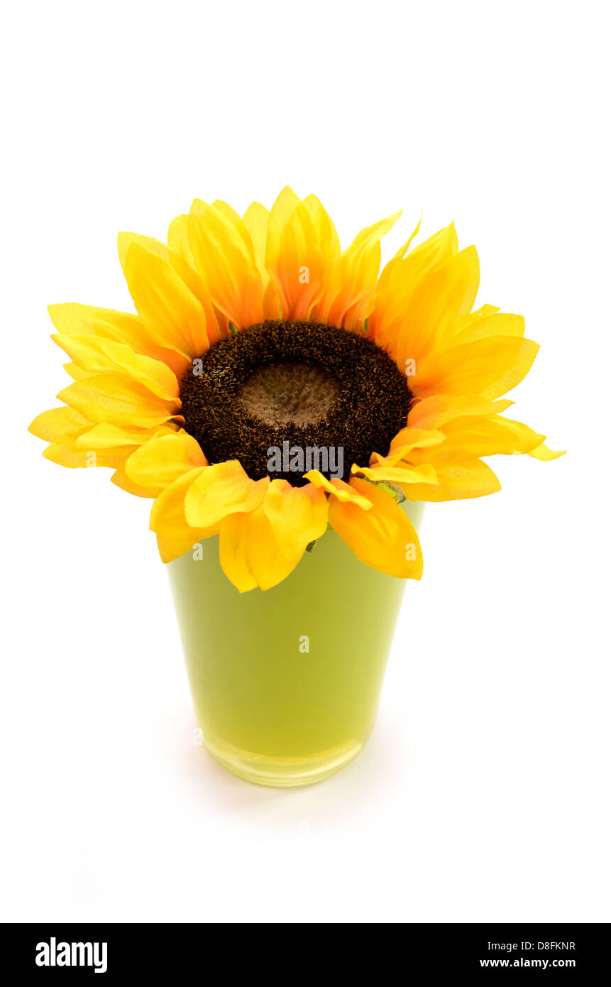 Sunflower in a green glass bowl Stock Photo - Alamy