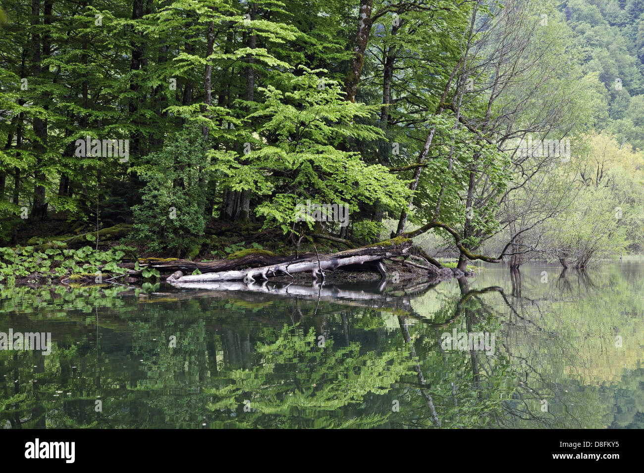 Holzig hi-res stock photography and images - Alamy