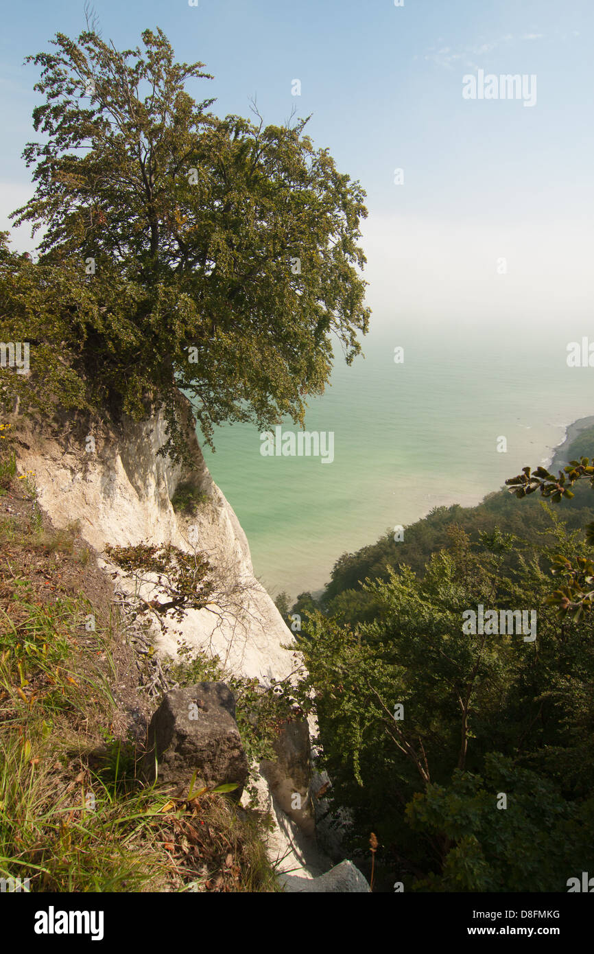 Chalk cliff of Jasmund Stock Photo - Alamy